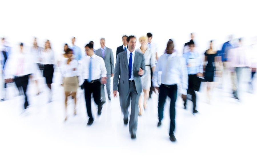 Measure 360 assessment - Success Factor Ltd